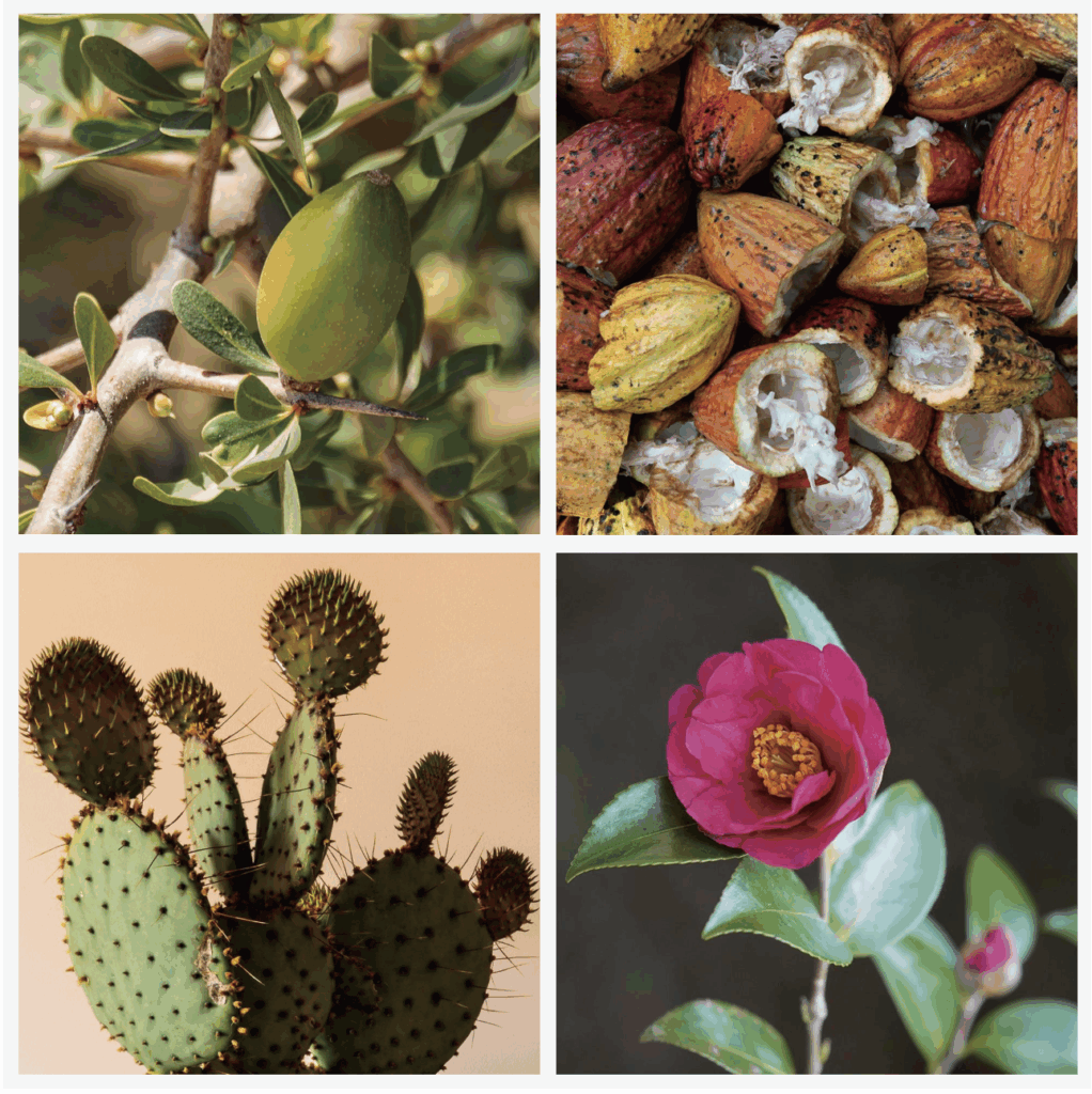 迷いを起点に、個性を引き立てるサロン専売ヘアプロダクト『1DK』取り扱い開始！ | 株式会社コスモ（株式会社COSMO）